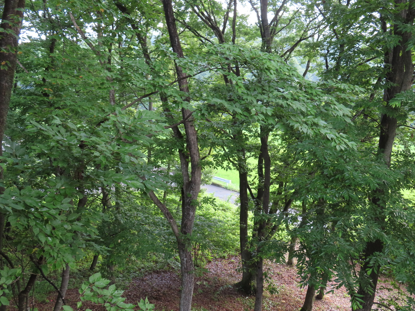 素晴らしい朝: 砂時計